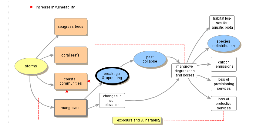 ci:grasp 2.0: impact chain for tropical coastal areas - storms