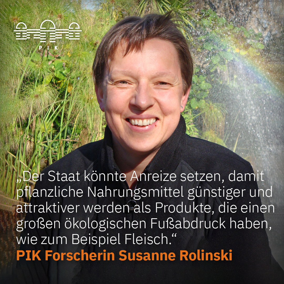 Der Staat könnte Anreize setzen — Potsdam-Institut für Klimafolgenforschung