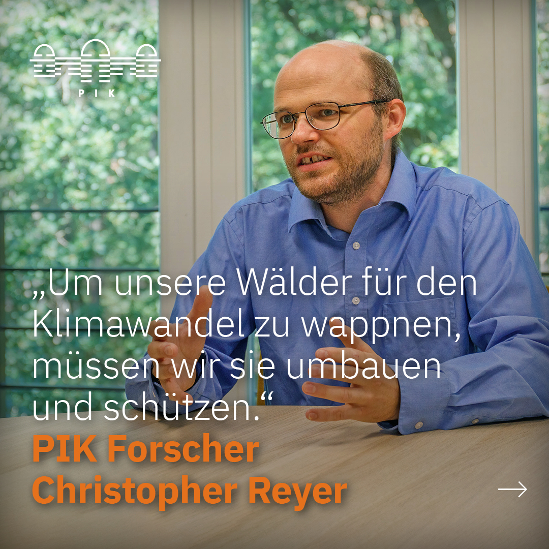 Der Wald & seine Rolle bei der Klimastabilisierung — Potsdam-Institut ...