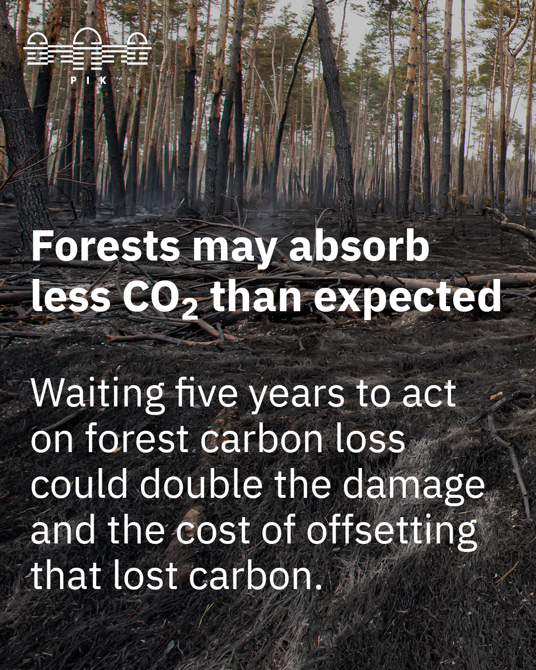 Losing forest carbon stocks — Potsdam-Institut für Klimafolgenforschung