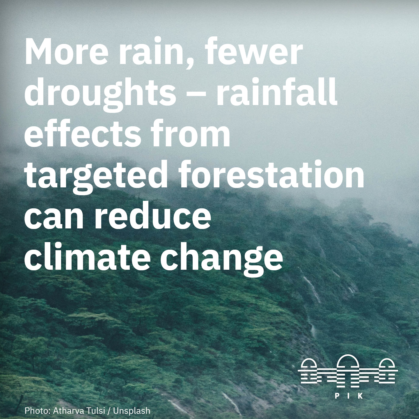 Targeted forestation can reduce climate change — Potsdam-Institut für ...