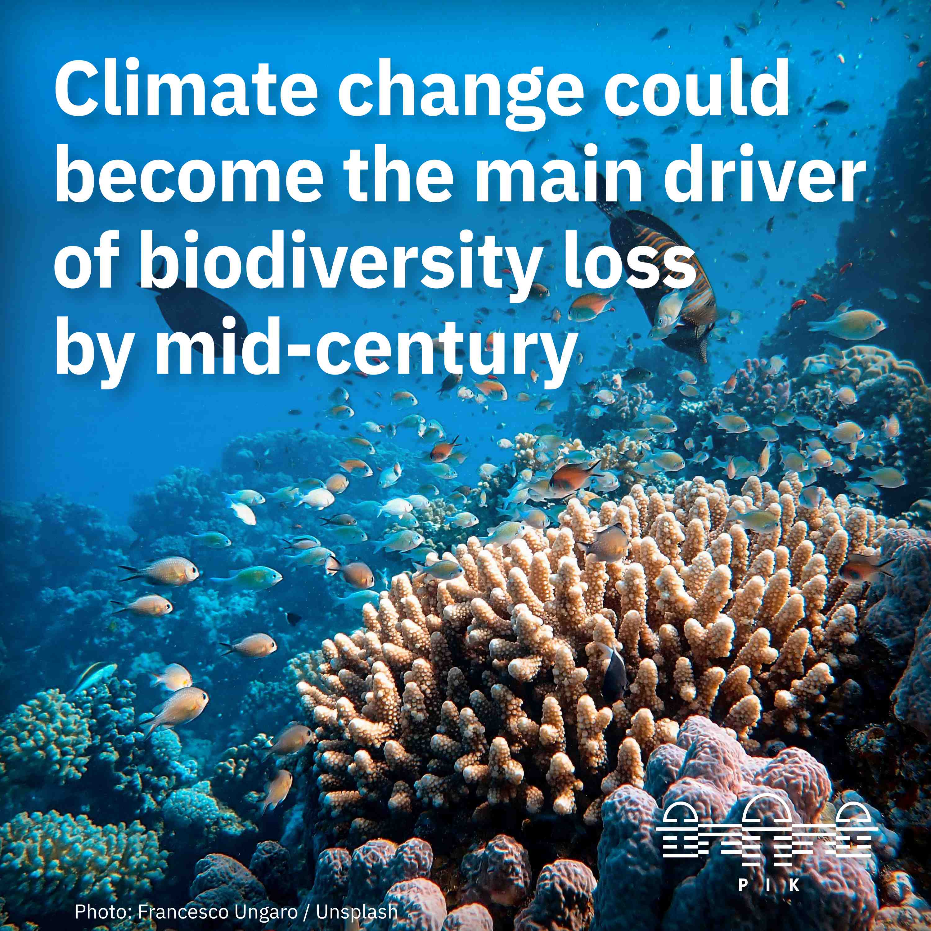 The leading threat of climate change to biodiversity — Potsdam-Institut ...