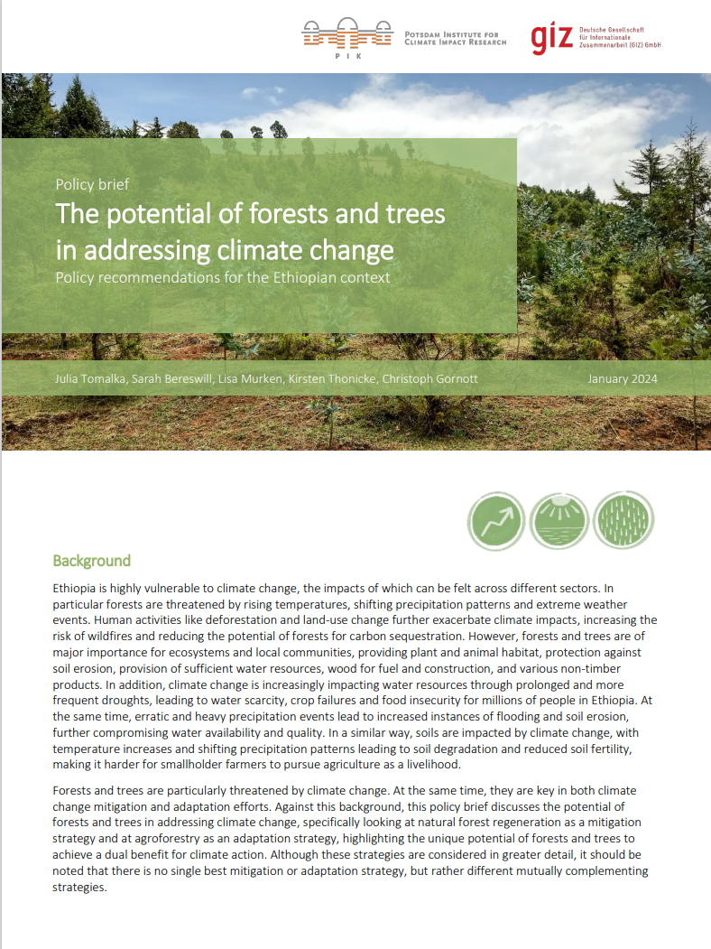 Policy Brief: The potential of forests and trees in addressing climate ...