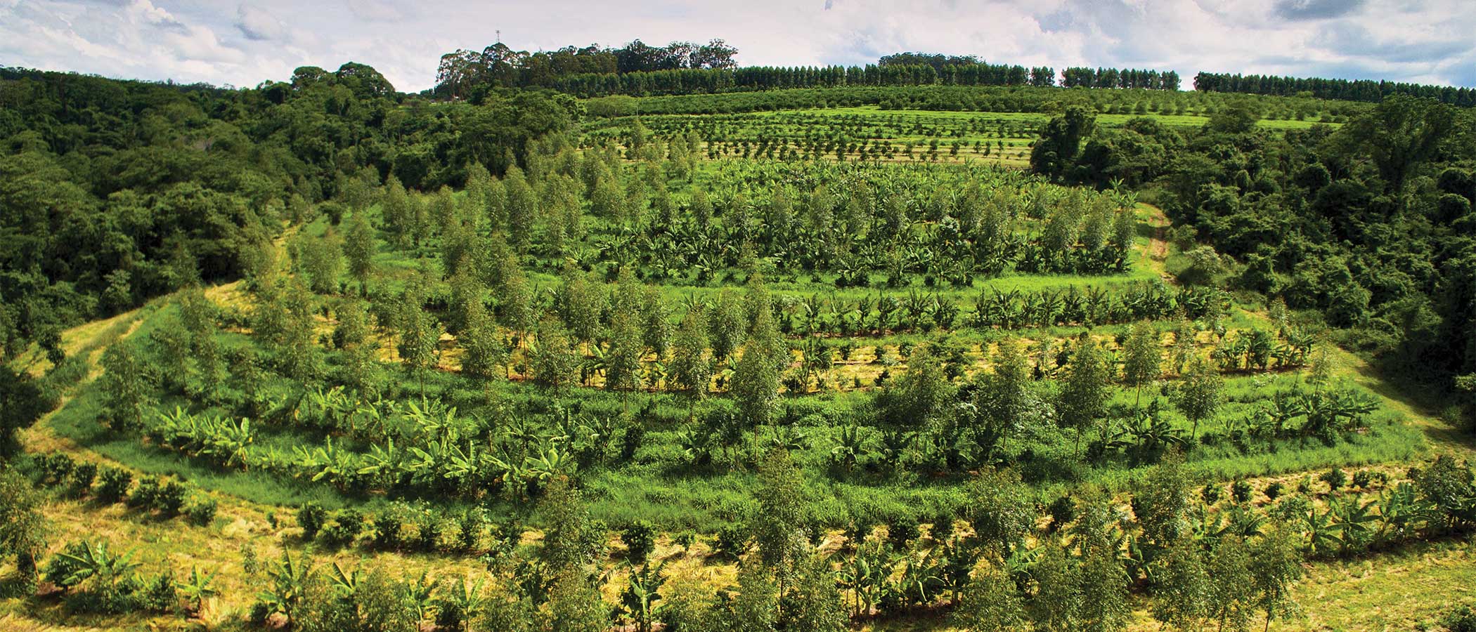 Biodiversity Research Survey — Potsdam Institute for Climate Impact ...