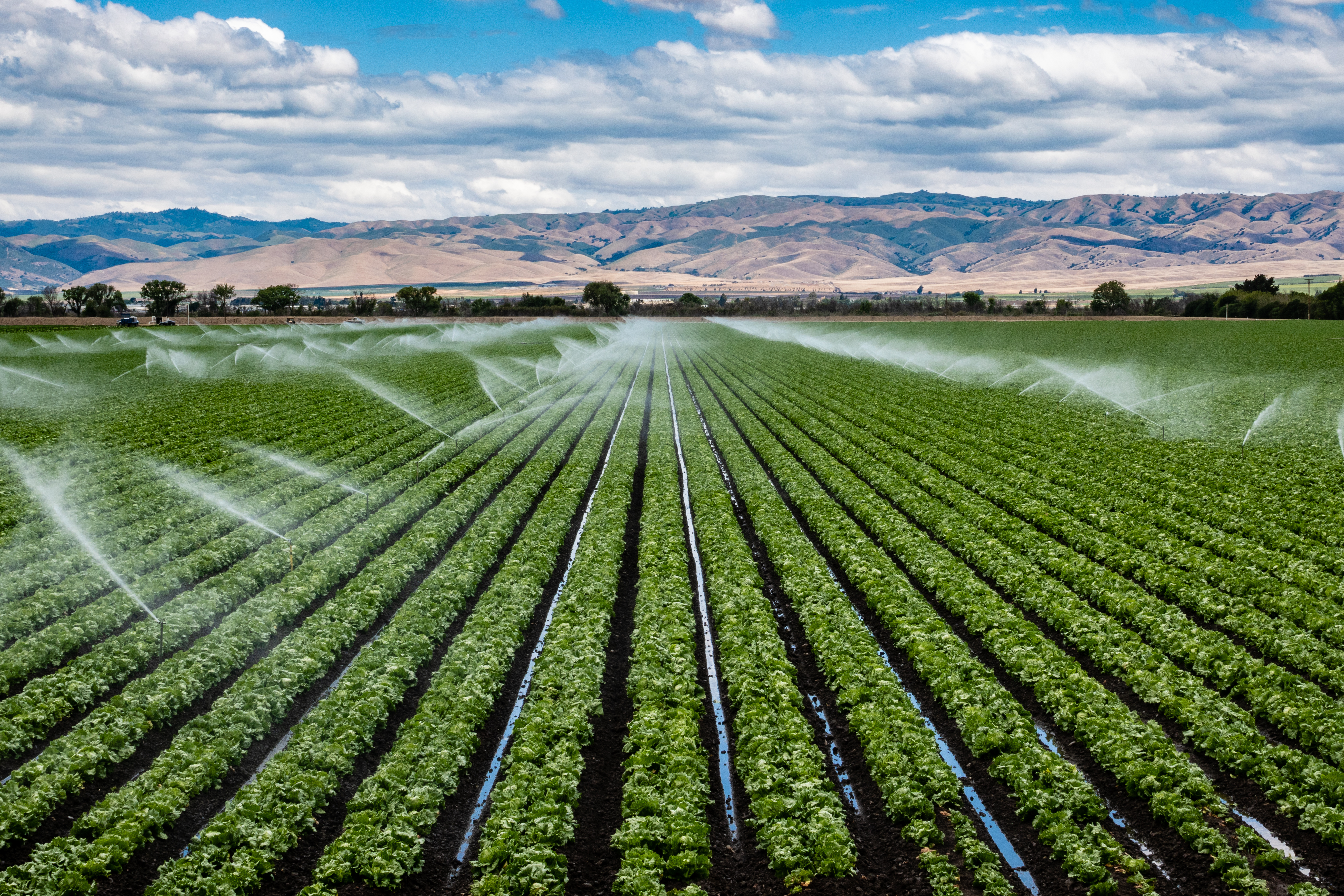 Better water management could halve the global food gap — Potsdam ...