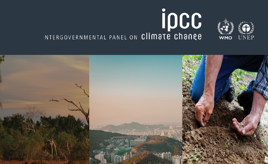 Looking beyond the farm gate: New IPCC Special Report on Land Use and ...