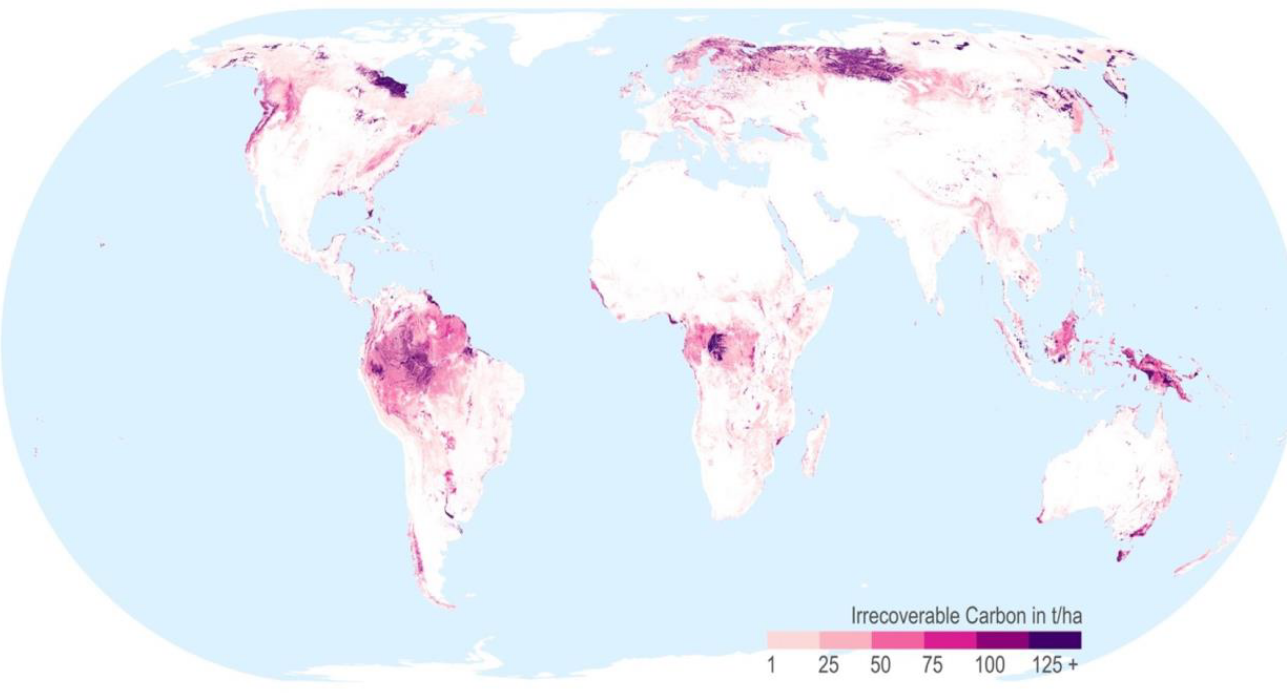 New study: World map of the most important protected areas to avert a ...
