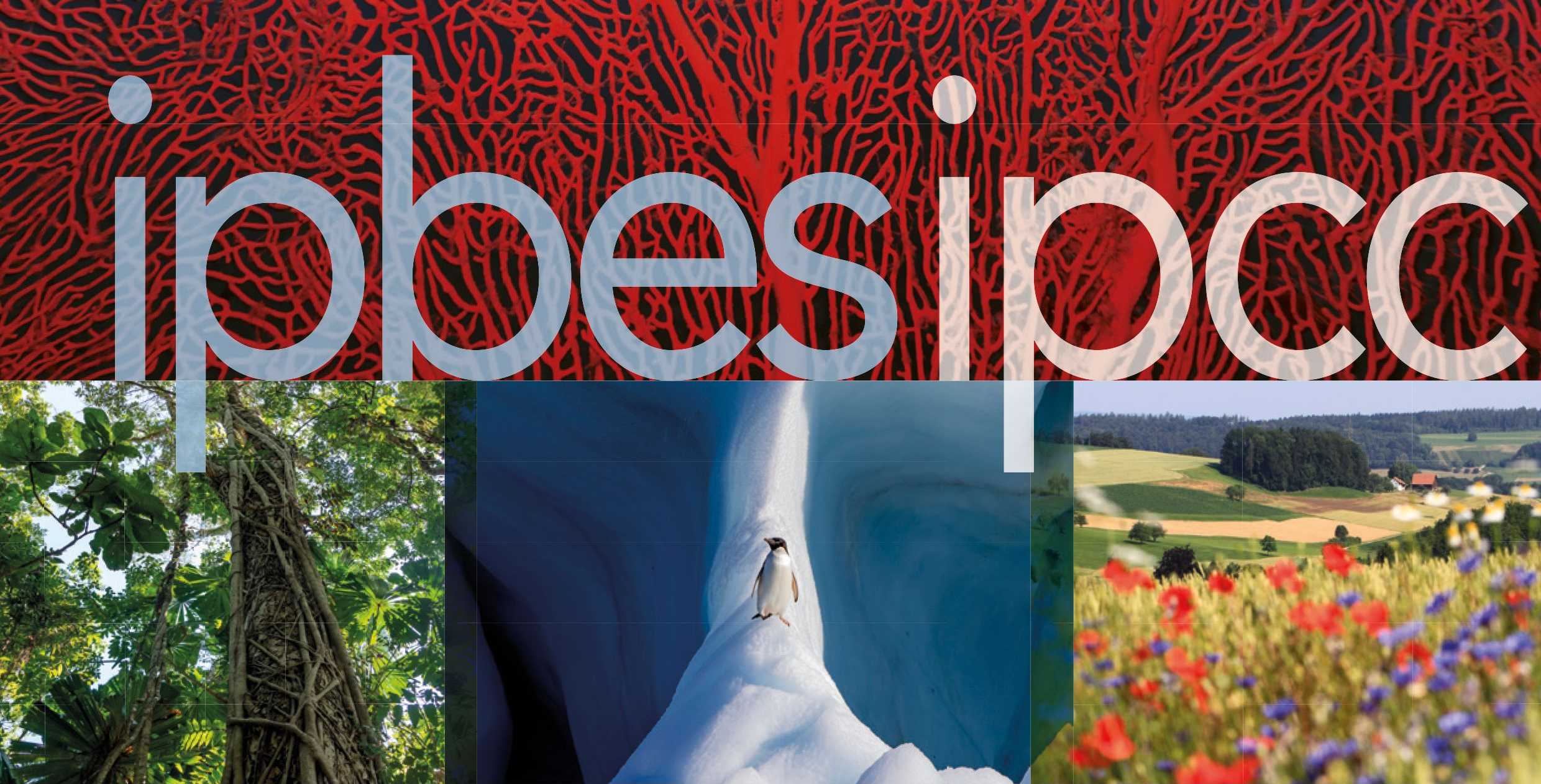 Tackling biodiversity and climate crises together: First joint IPCC ...